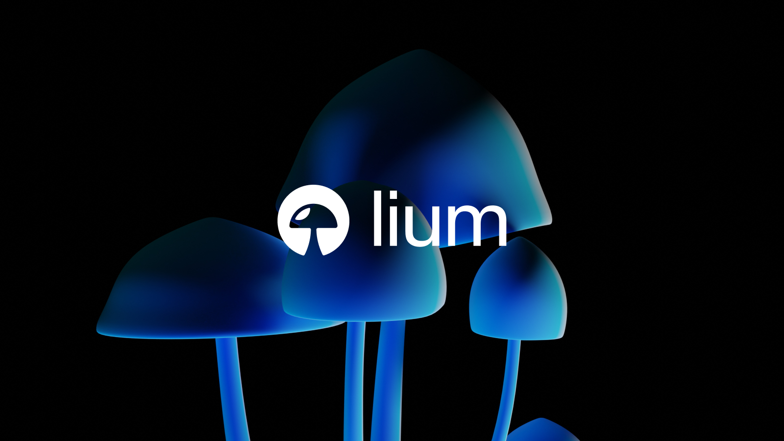 Welcome to lium | lium